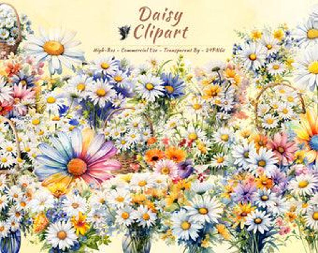 Daisy Flower PNG Clipart | Spring Flower, Wildflower Clipart Bundle - Etsy