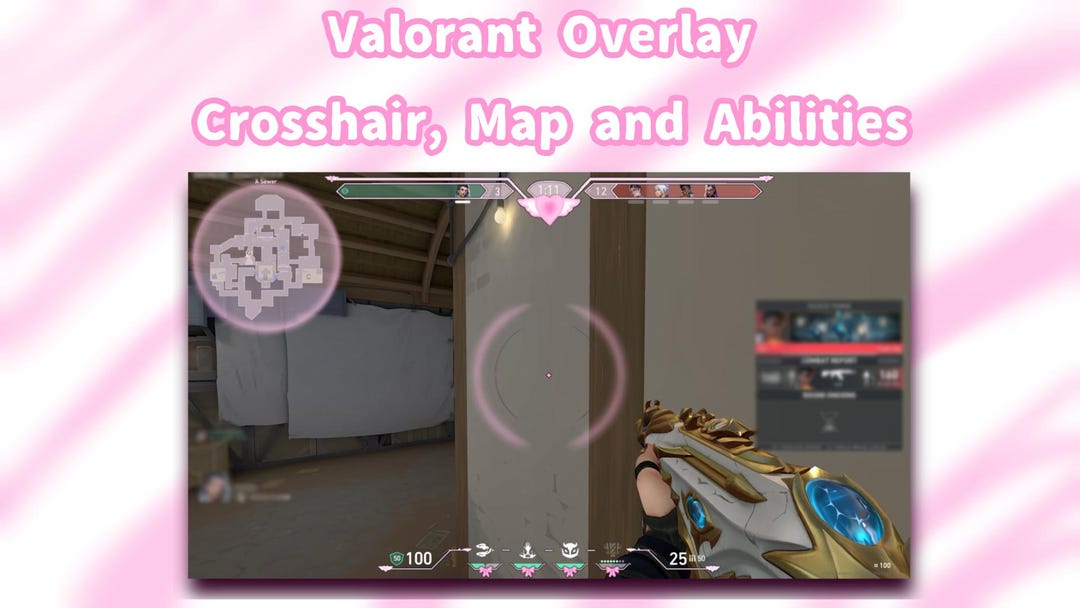 Valorant Pink Overlay - Etsy