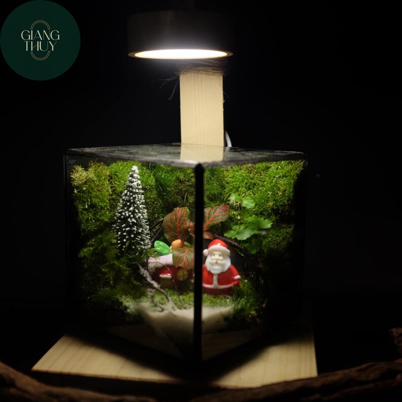 Giang Thuy Handmade Terrariums, Artistic Glass Gardens, Unique Indoor ...