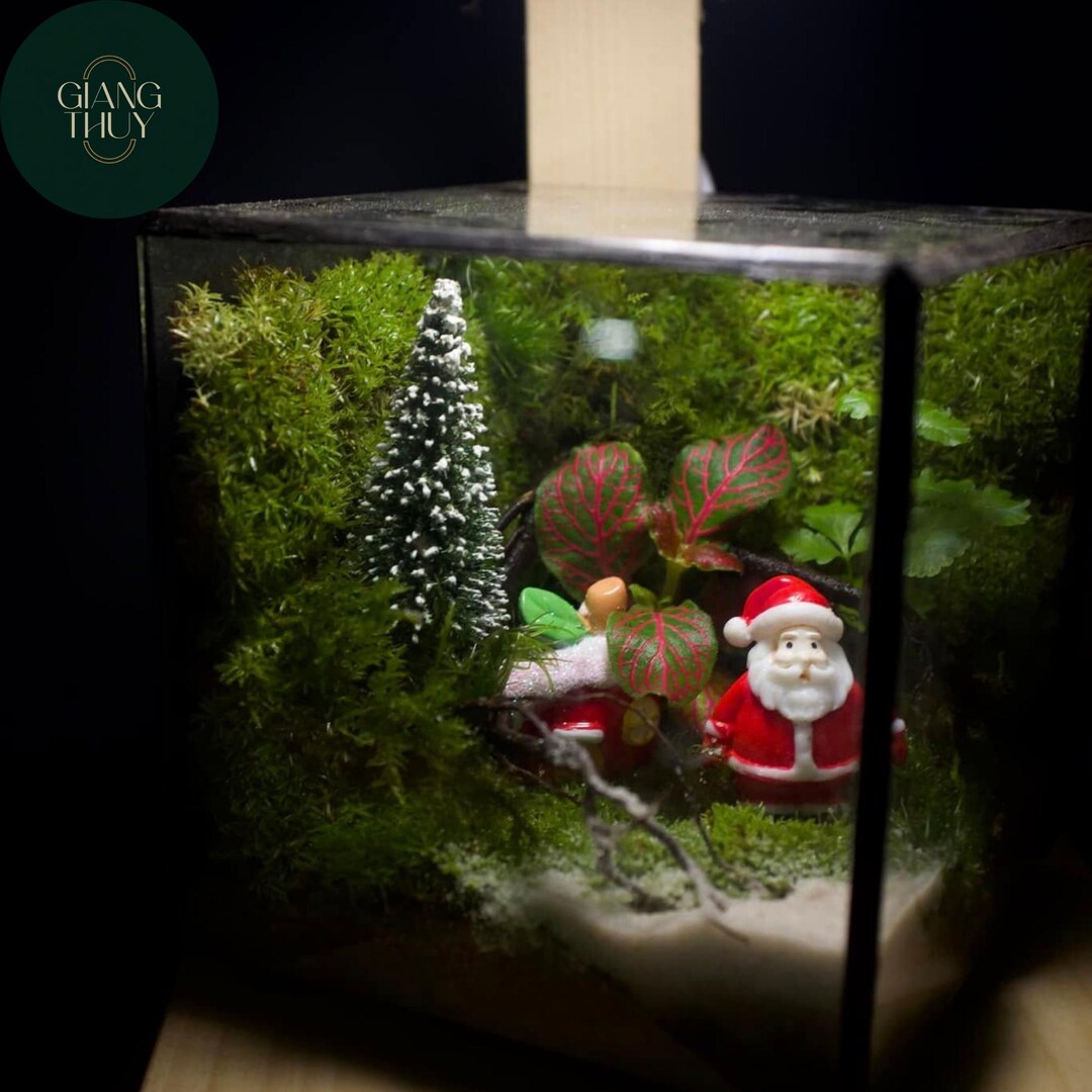 Giang Thuy Handmade Terrariums, Artistic Glass Gardens, Unique Indoor ...