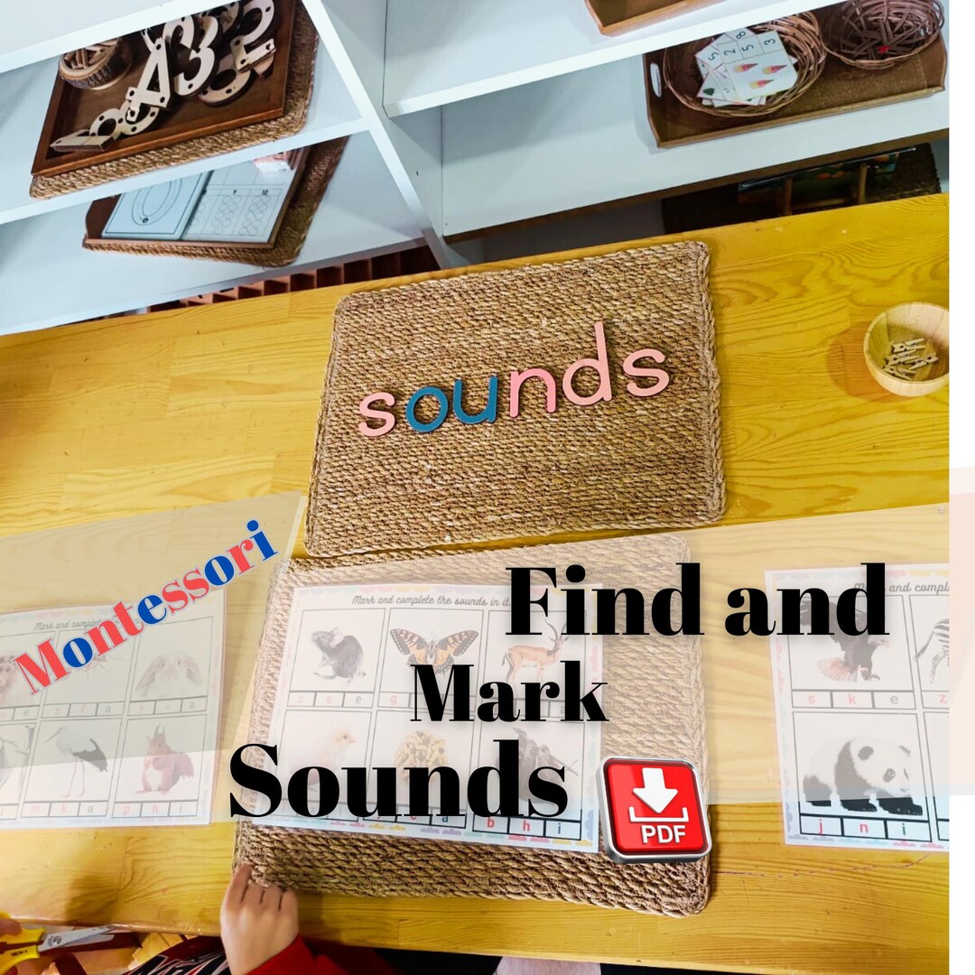 Montessori Animal Sound Recognition Activity | Letter Matching Game for ...