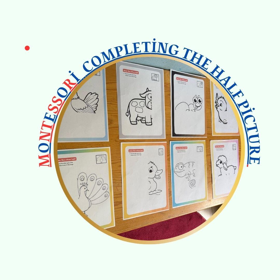 Animal Body Parts Drawing Activity | Montessori Printable for Kids ...