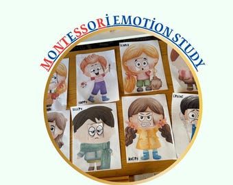 Emotions Clip Cards | Social Emotional Learning Activity for Preschool ...
