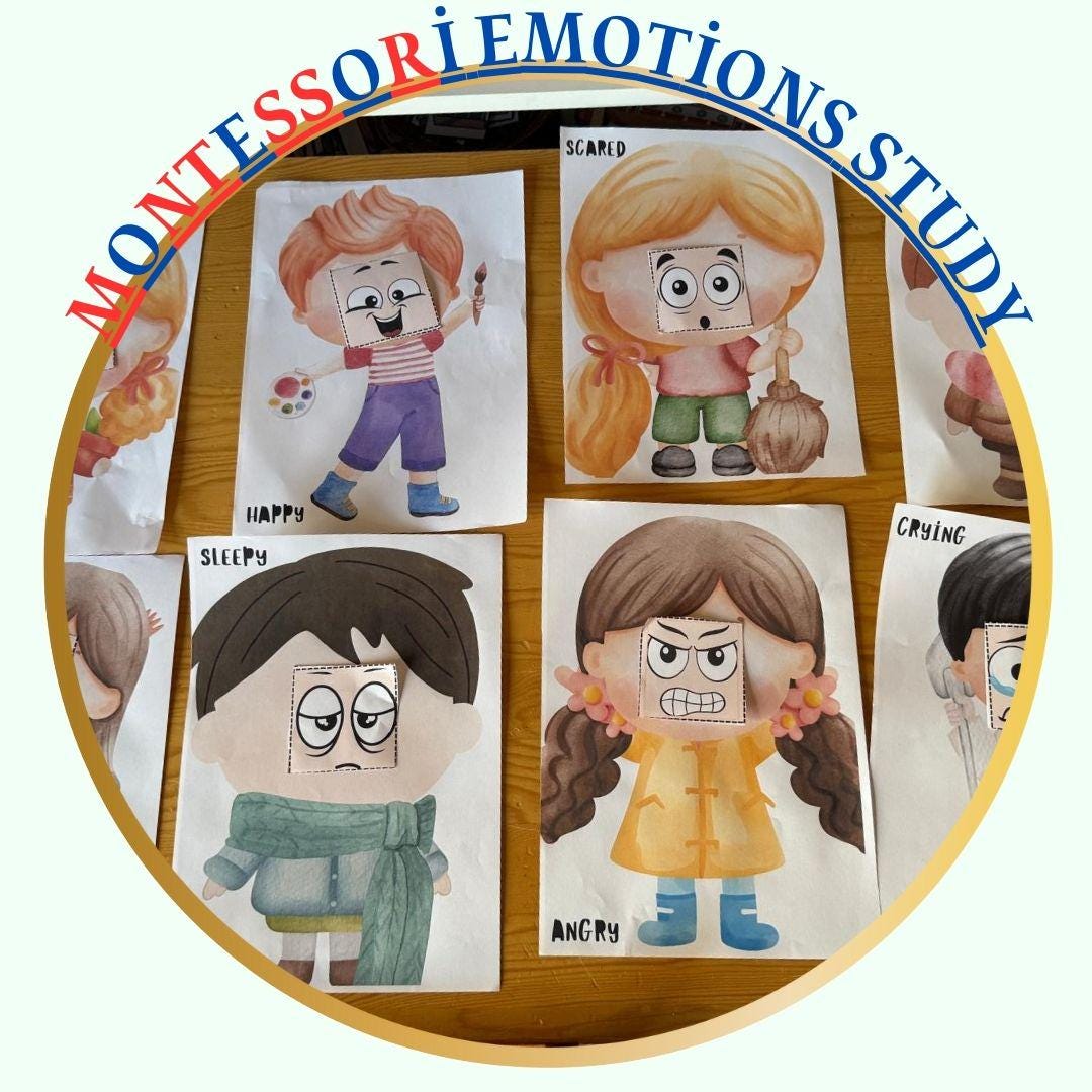 Montessori Feelings Matching Game | Emotion Recognition Activity for ...