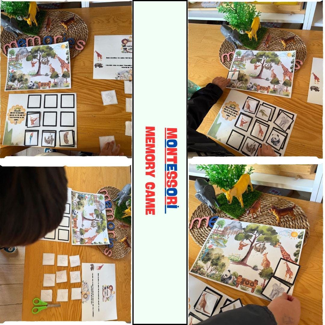 Montessori Memory Game for Kids | Animal Card Matching | Memory ...