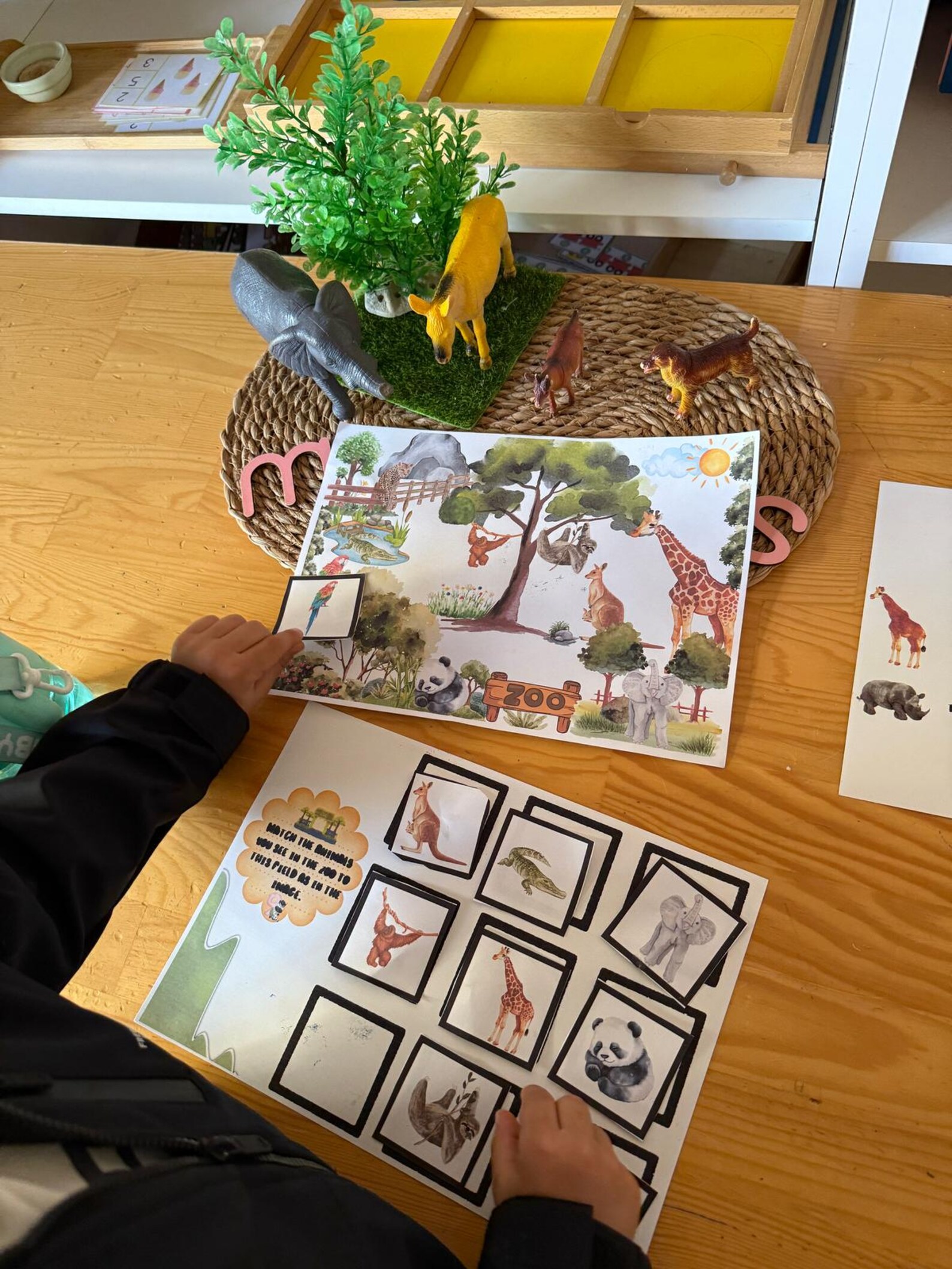 Montessori Memory Game for Kids | Animal Card Matching | Memory ...