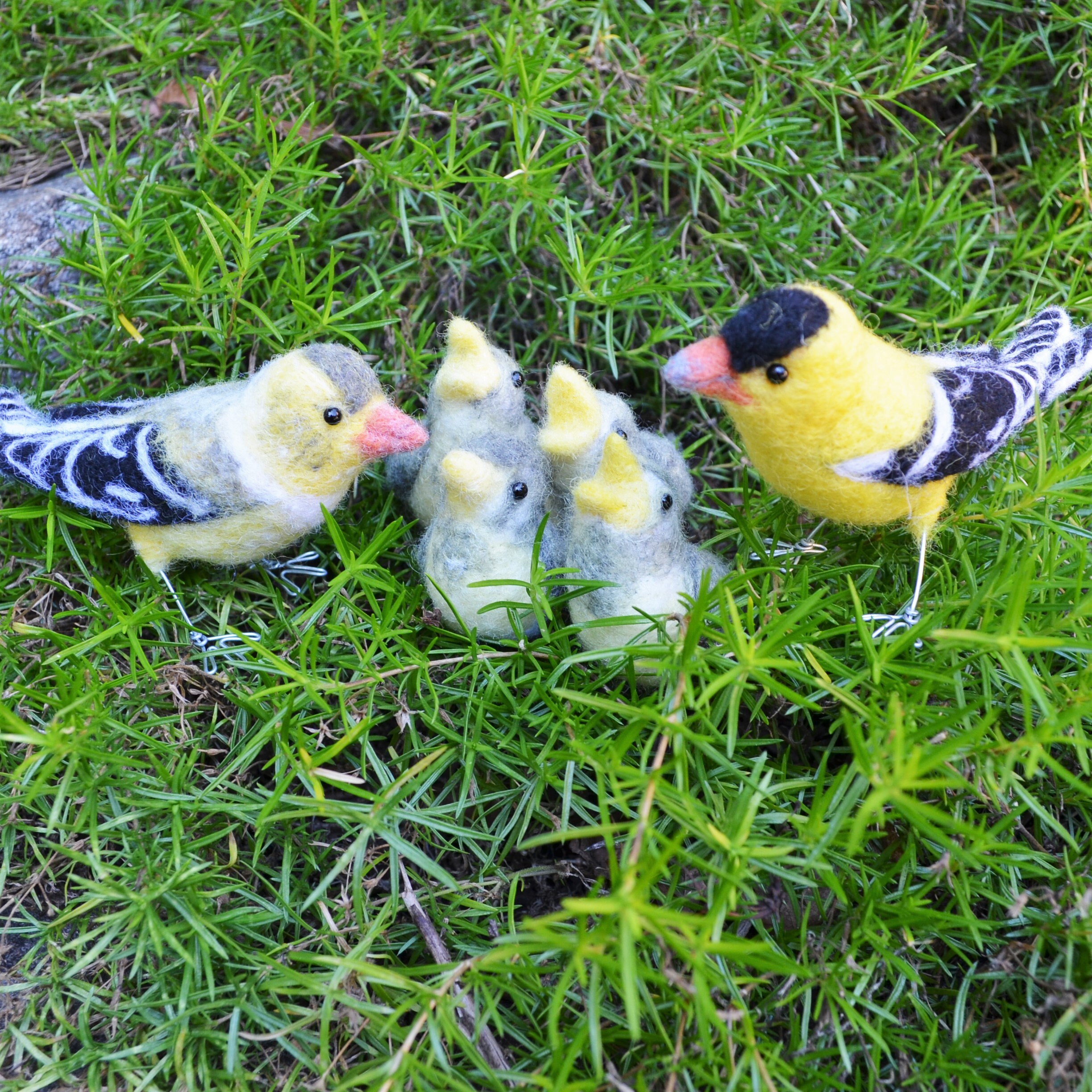 Mr. OR Mrs. Goldfinch and Family, Needle Felted Birds and Babies, Wool ...