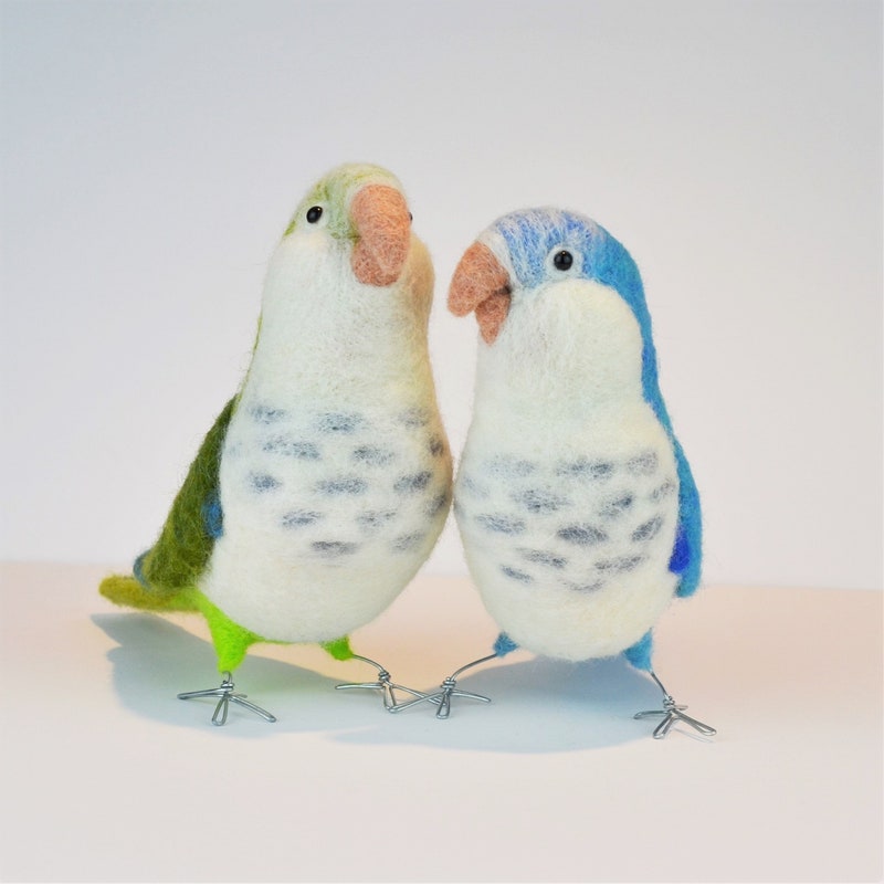 Needle Felted Parrot - Etsy