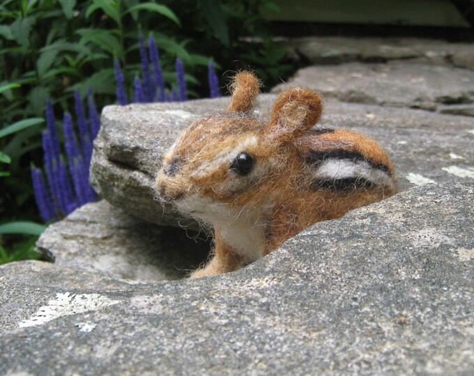 Chippi the Chipmunk, Needle Felted Animal Fiber Art Sculpture - Etsy