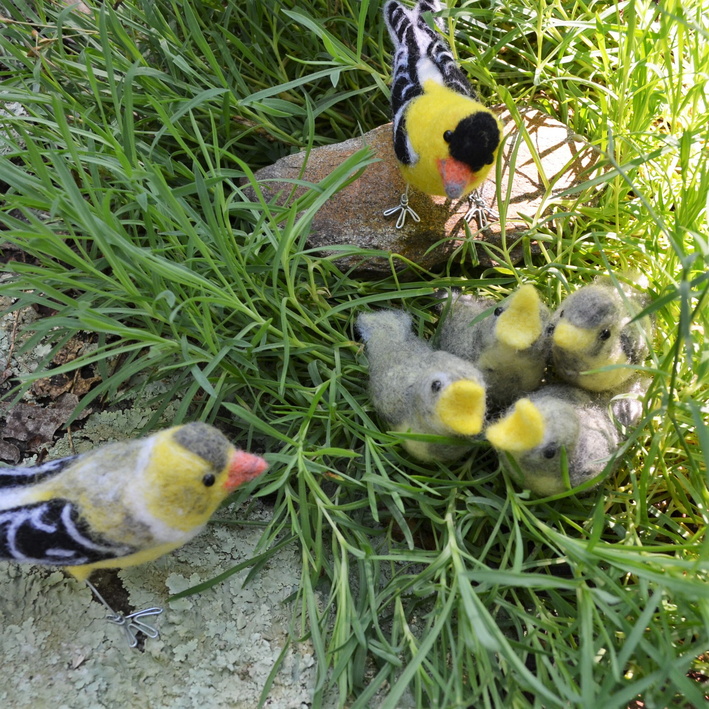 Mr. OR Mrs. Goldfinch and Family, Needle Felted Birds and Babies, Wool ...