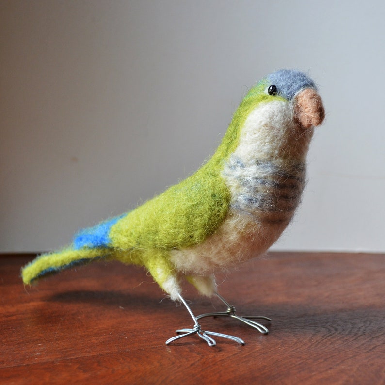 Mr. Blue or Green Faced Quaker Parrot, Needle Felted Bird Sculpture - Etsy