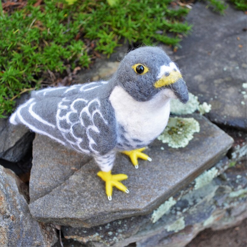 Mr. Peregrine Falcon Needle Felted Bird Raptor Sculpture - Etsy