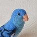 Mr. Blue Lineolated "linnie" Parakeet, Needle Felted Bird Art Fiber ...