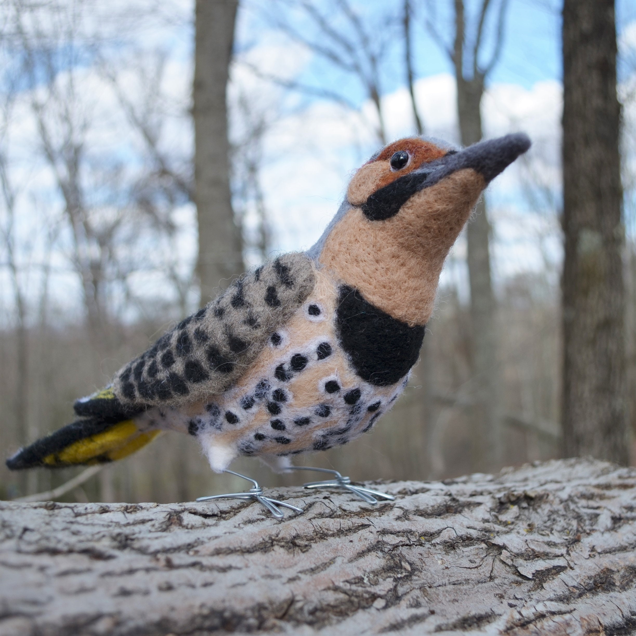 Mr. Northern Flicker needle felted bird fiber art sculpture | Etsy