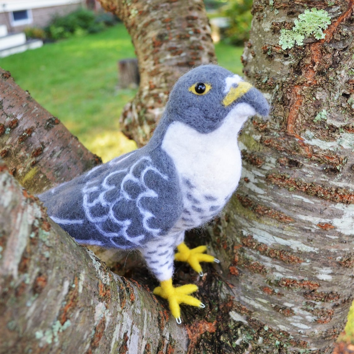 Mr. Peregrine Falcon Needle Felted Bird Raptor Sculpture - Etsy
