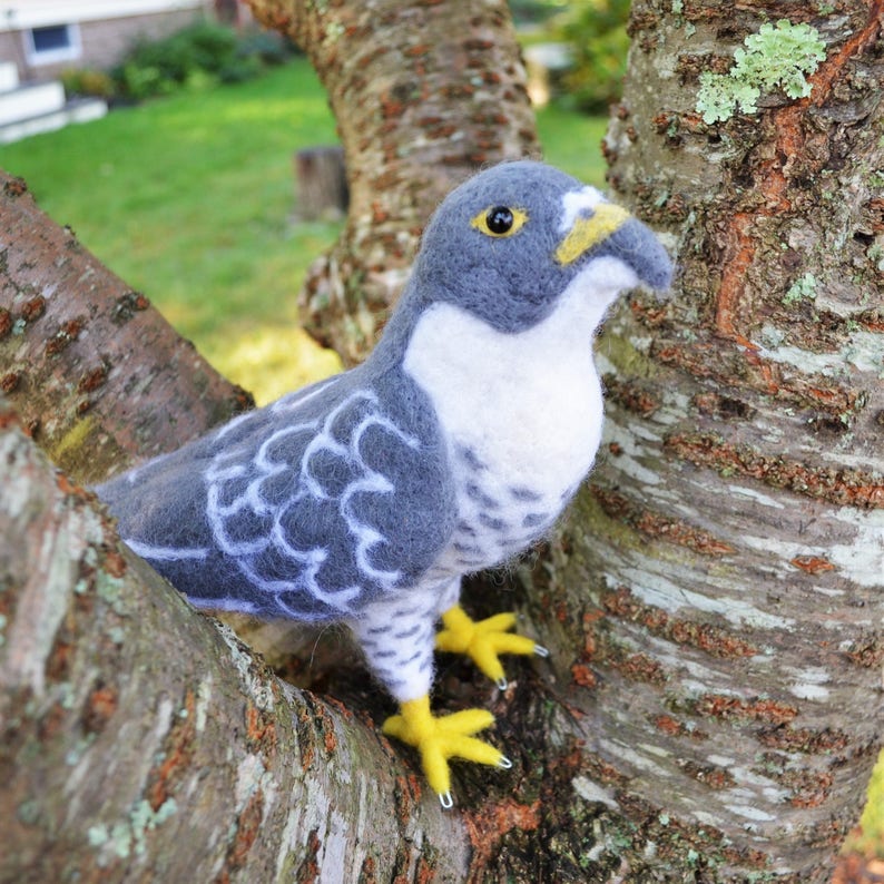 Mr. Peregrine Falcon, Needle Felted Bird Raptor Sculpture - Etsy