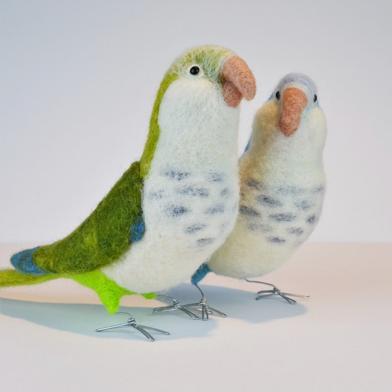 Mr. Blue or Green Faced Quaker Parrot, Needle Felted Bird Sculpture - Etsy