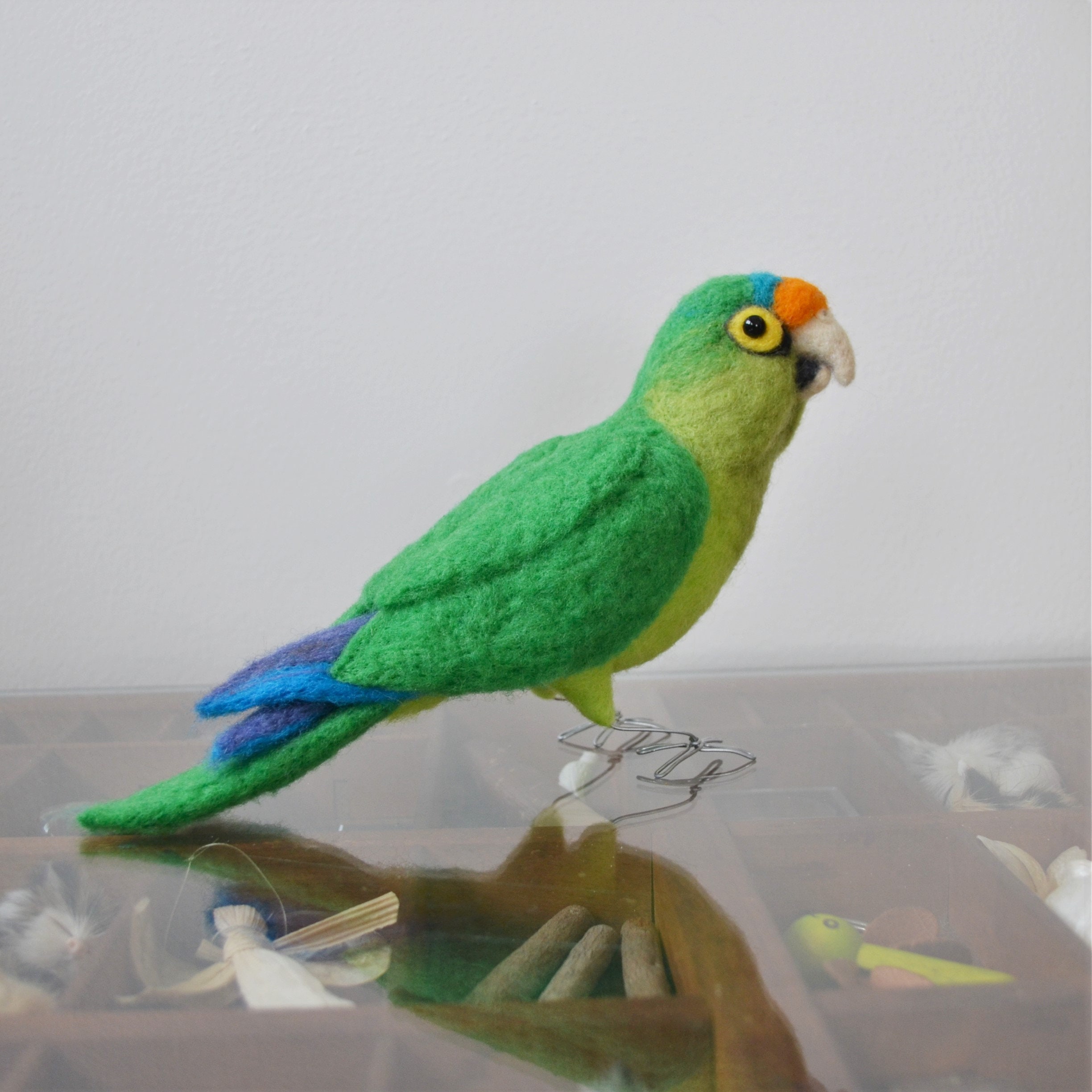 Half Moon Conure