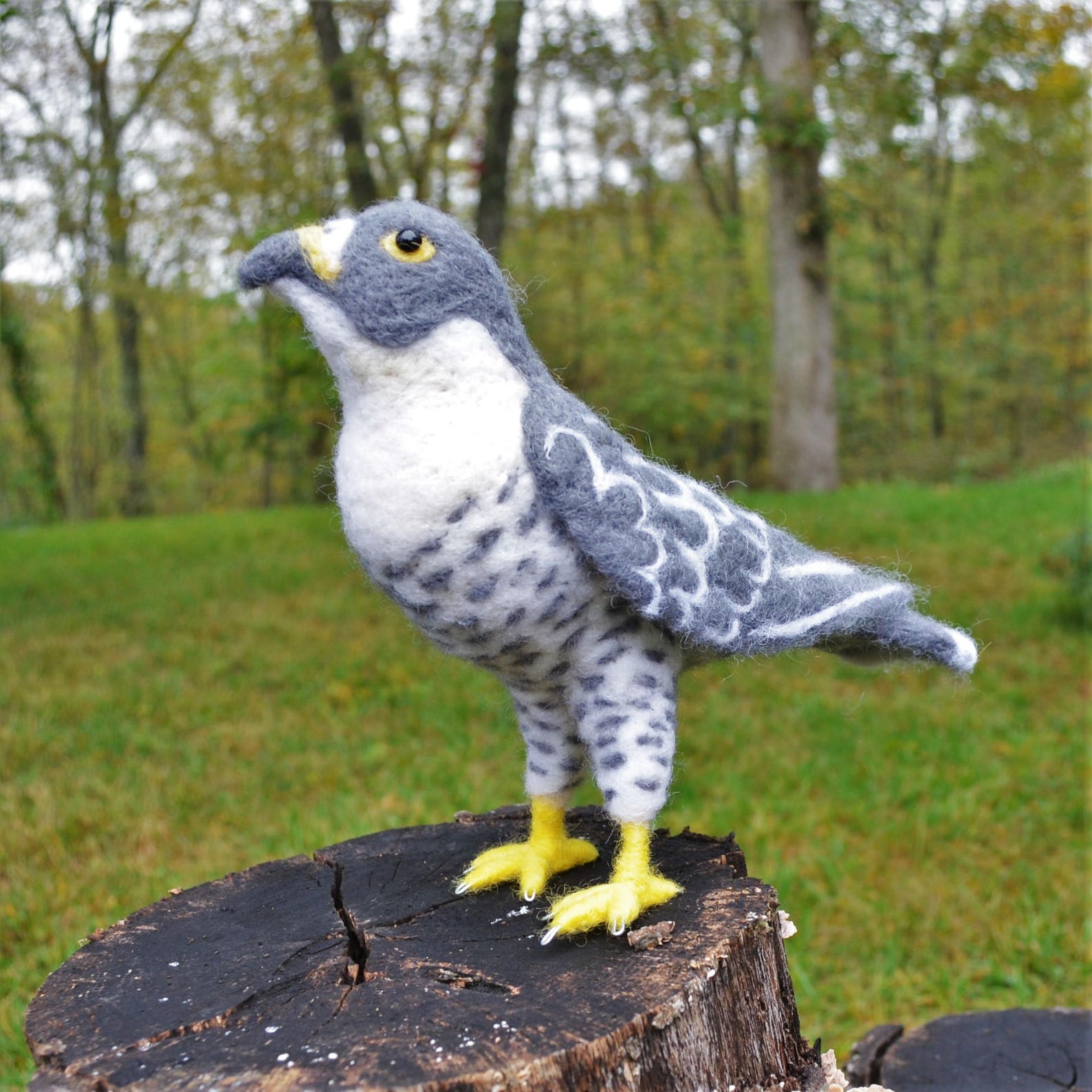 Mr. Peregrine Falcon Needle Felted Bird Raptor Sculpture - Etsy