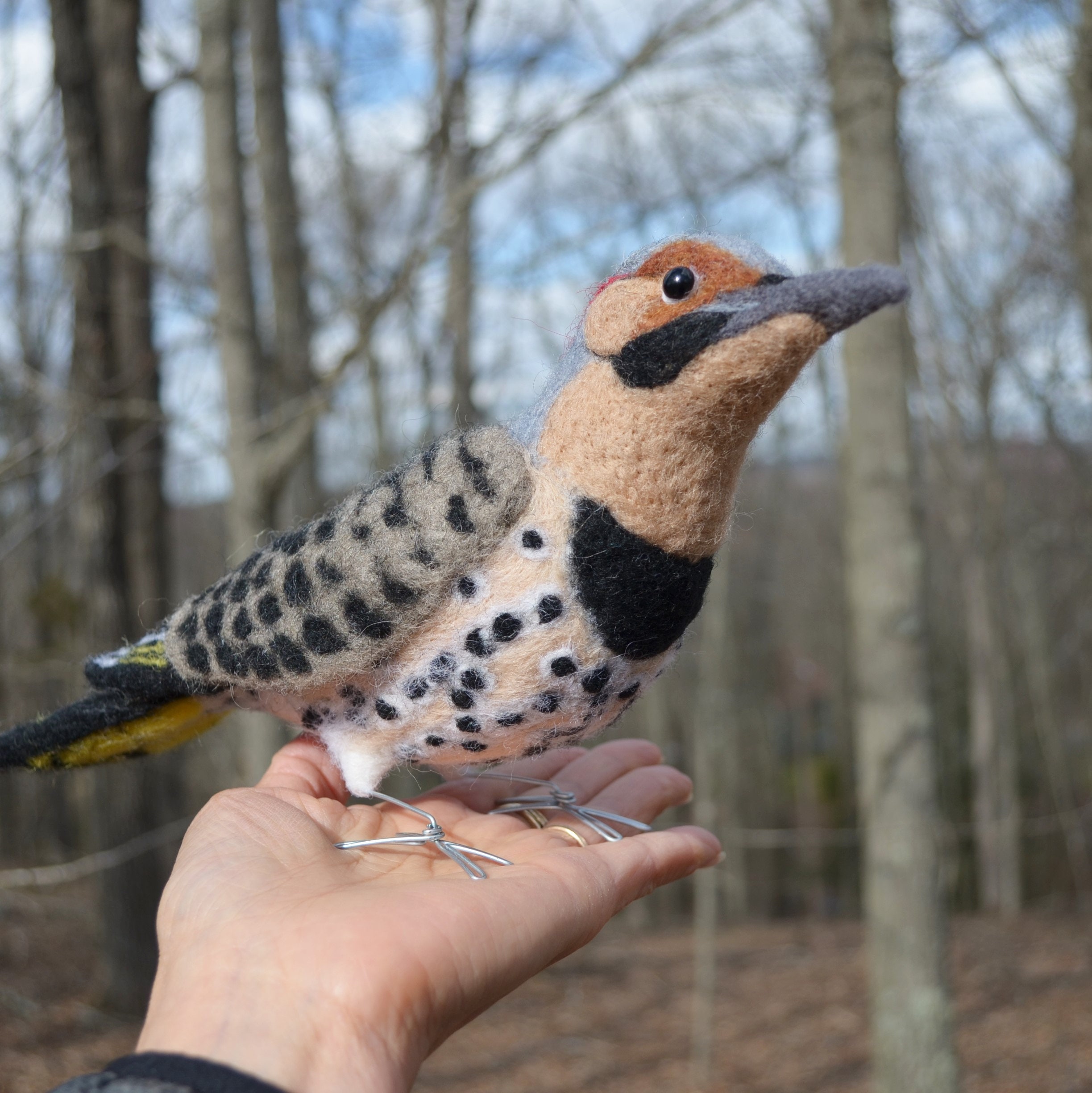 Mr. Northern Flicker needle felted bird fiber art sculpture | Etsy