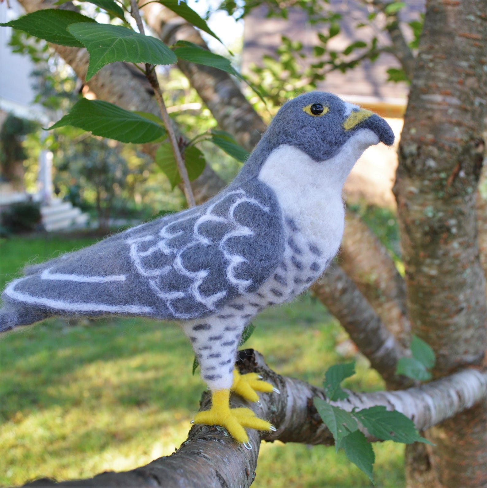 Mr. Peregrine Falcon Needle Felted Bird Raptor Sculpture - Etsy
