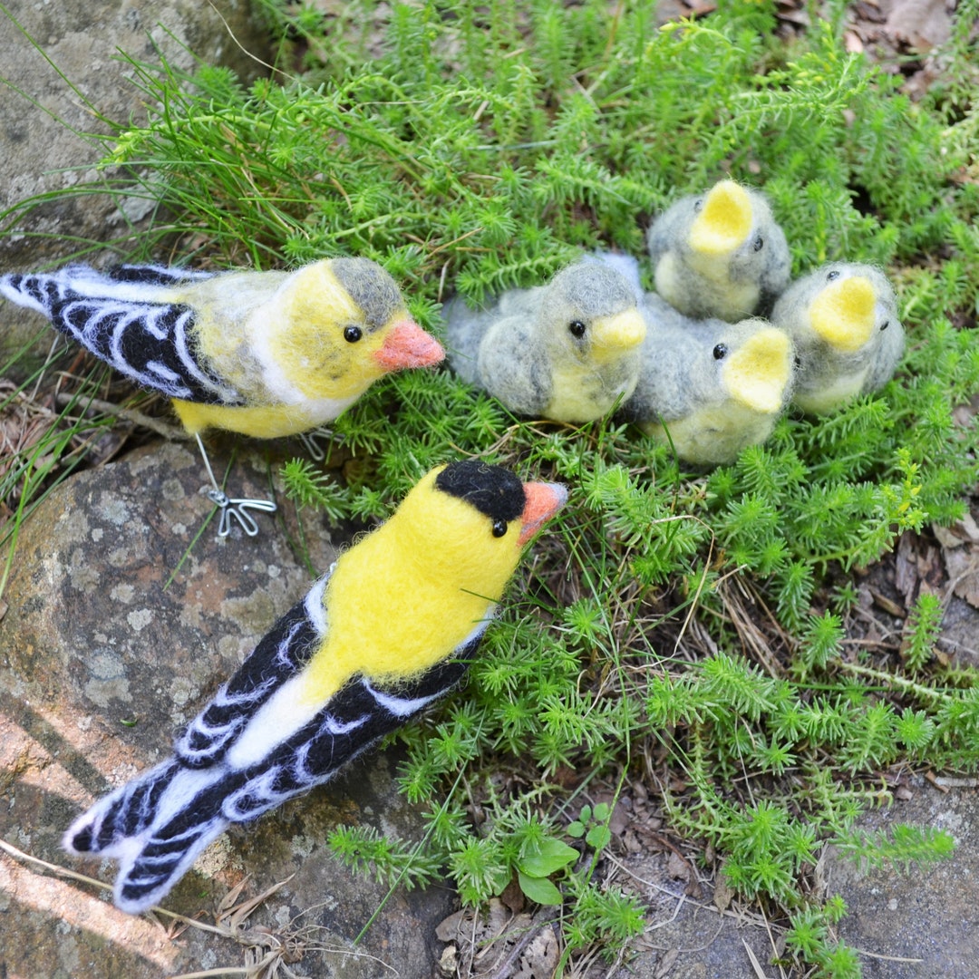 Mr. OR Mrs. Goldfinch and Family, Needle Felted Birds and Babies, Wool ...