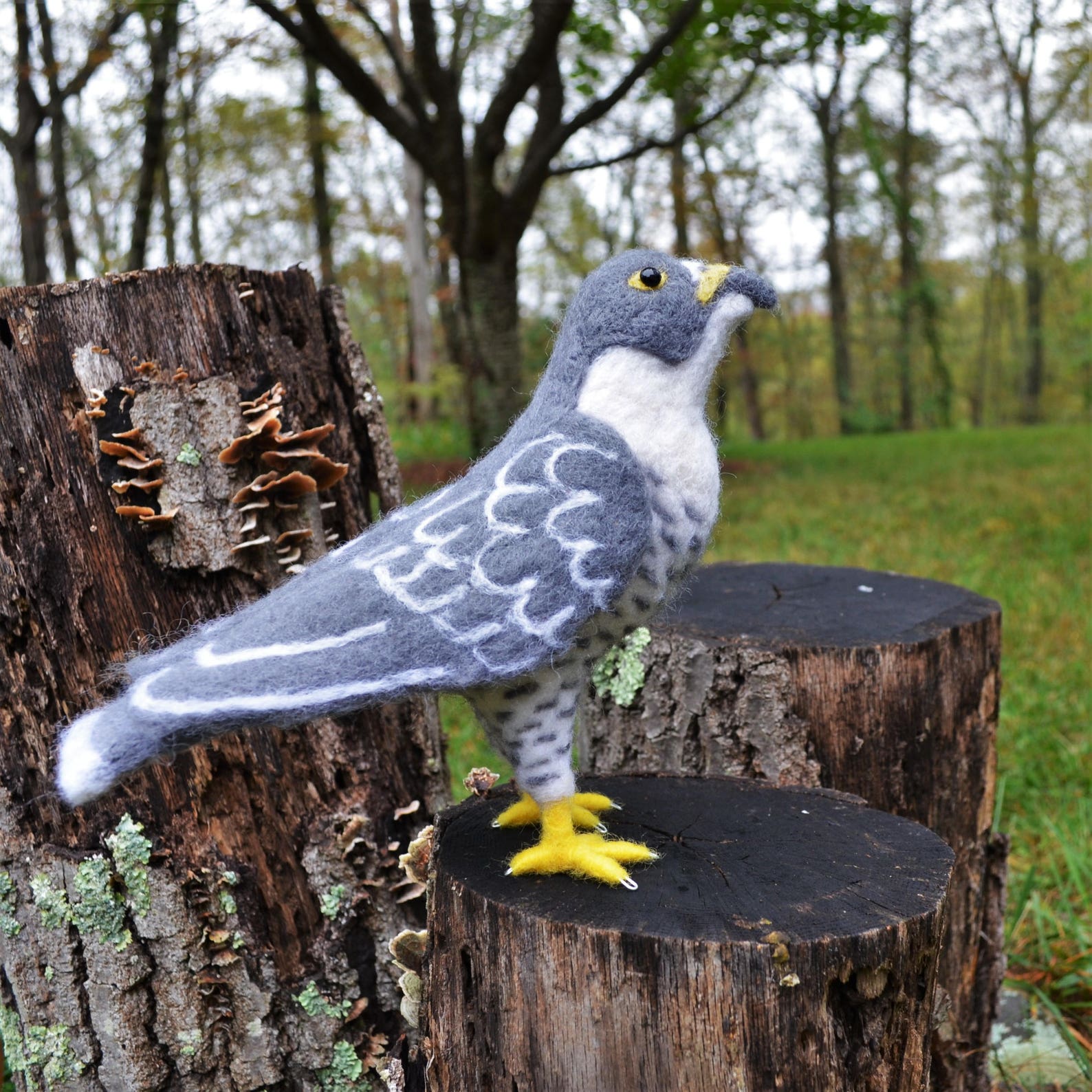 Mr. Peregrine Falcon Needle Felted Bird Raptor Sculpture - Etsy
