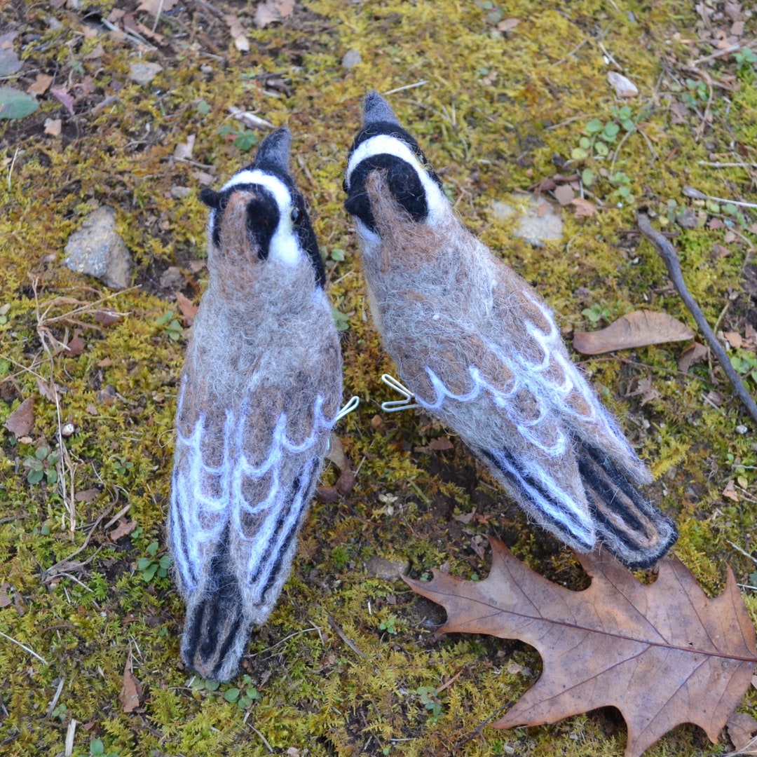 Mr. Horned Lark, Bird Art Sculpture Needle Felted - Etsy