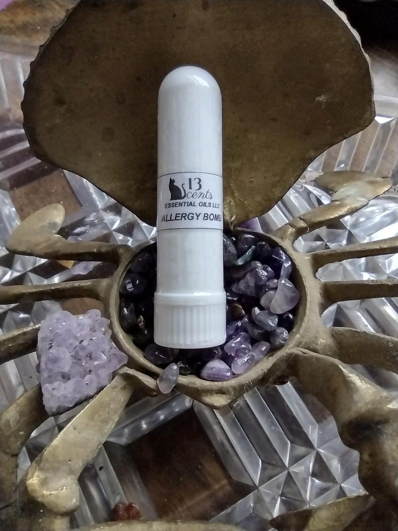 ALLEGY BOMB Nasal Inhaler Stick - Etsy