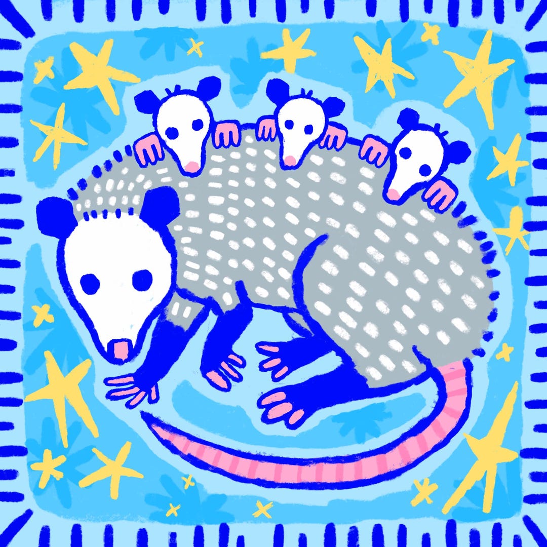 Colorful Opossum Print | Rabbit Poster | Colorful Animals | Digital Art ...