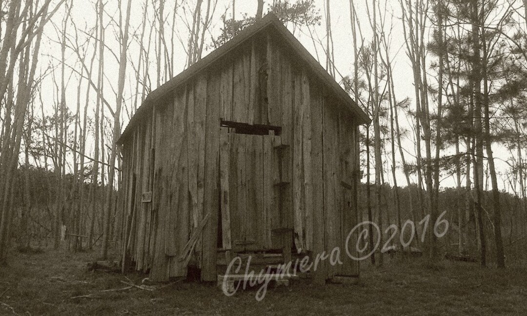 The Outhouse. Rustic Wood Building & Trees Photography Download ...
