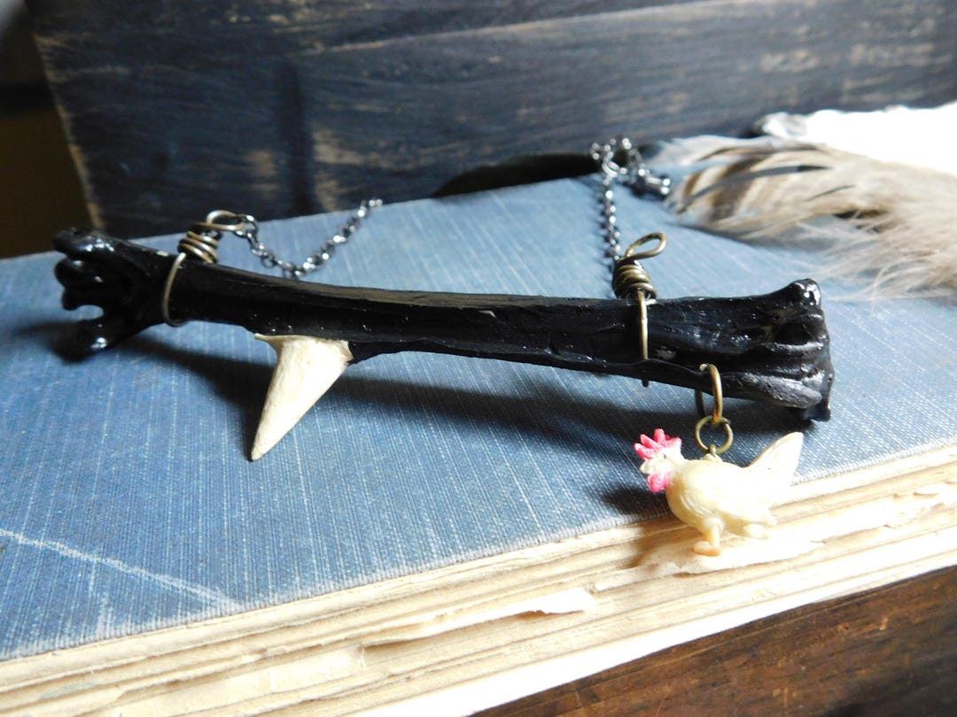 Here Comes the Rooster. Genuine Rooster Leg Bone & Spur, Vintage ...