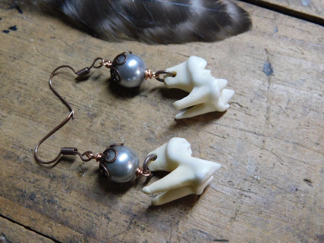 PEARLY WHITES. Genuine Brush Wolf (coyote) Molar Teeth & Glass Pearl ...