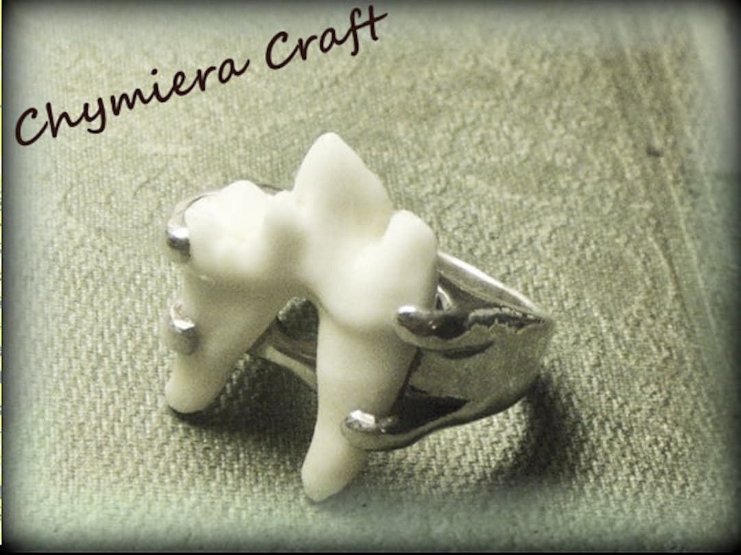 Lycanthrope Ring. Genuine Coyote Molar Tooth Set in Sterling Silver 4 ...