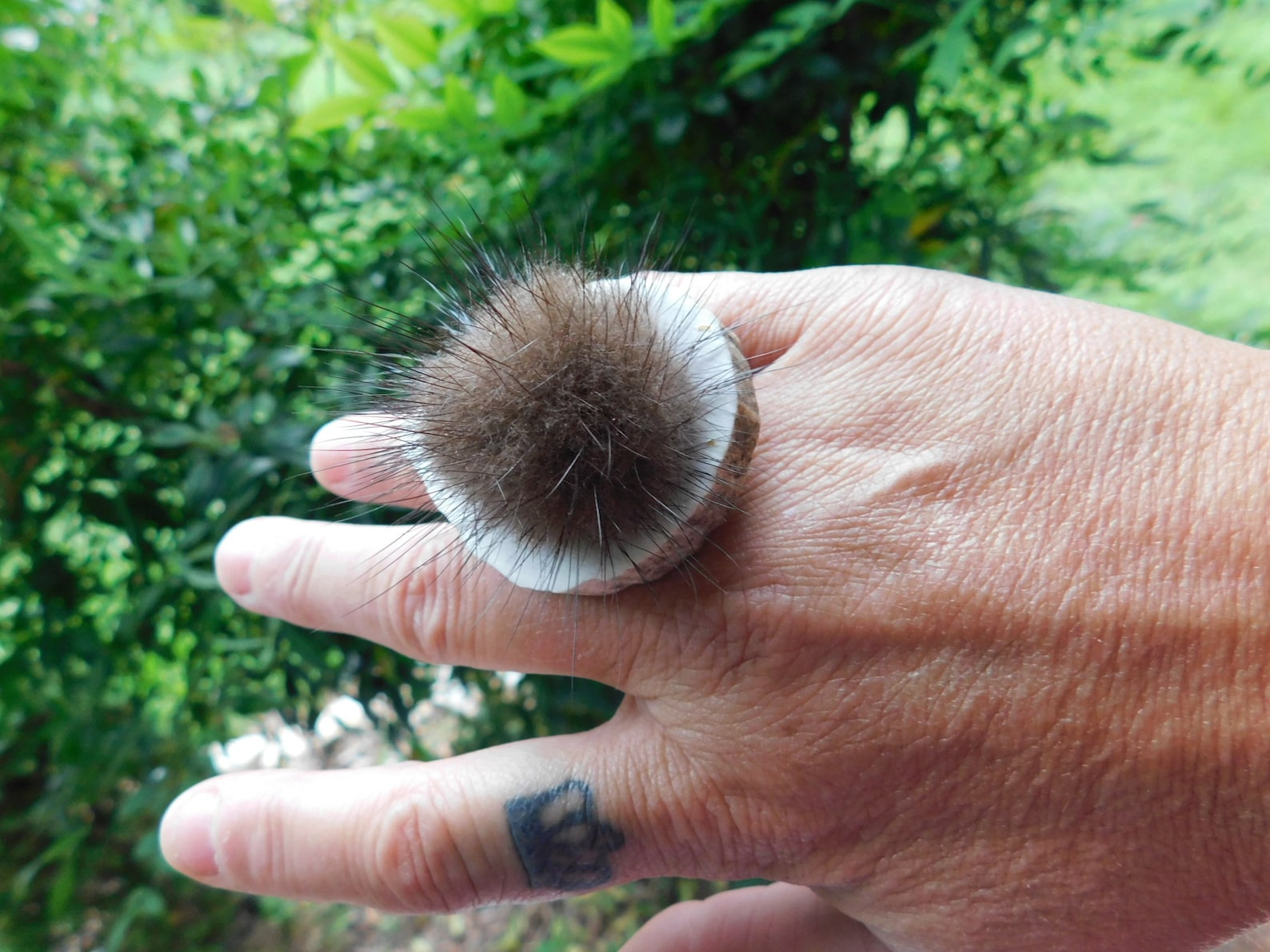 The Forest Rogue Antler Ring .genuine Sable Brown Mink Fur - Etsy