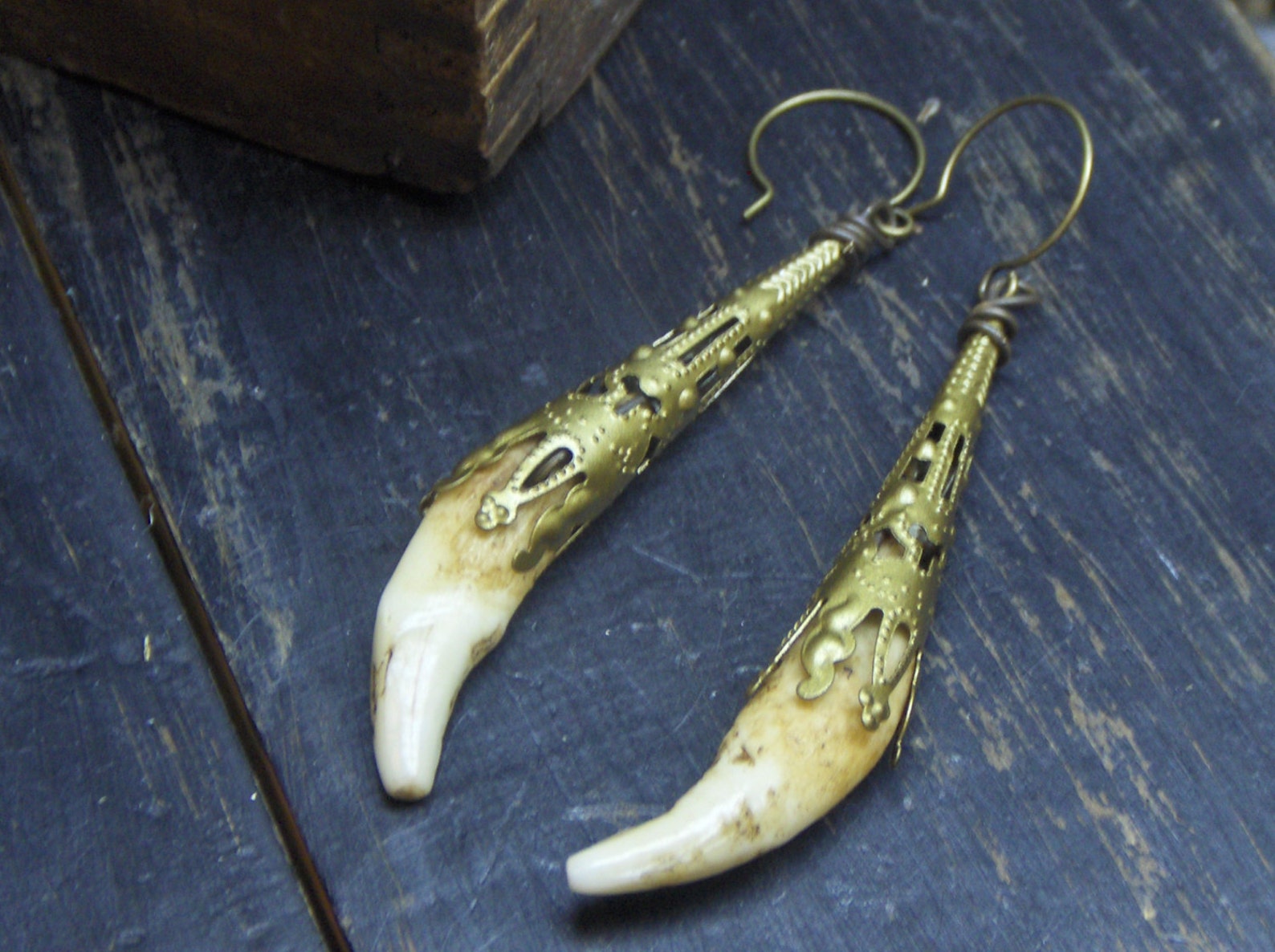 Crave. Genuine Coyote Teeth Fangs in Brass Victorian Filigree | Etsy