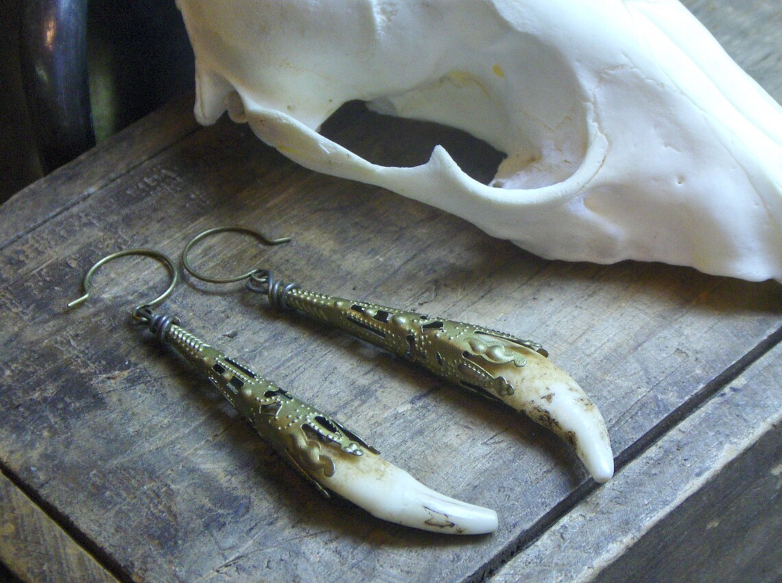 Crave. Genuine Coyote Teeth Fangs in Brass Victorian Filigree | Etsy