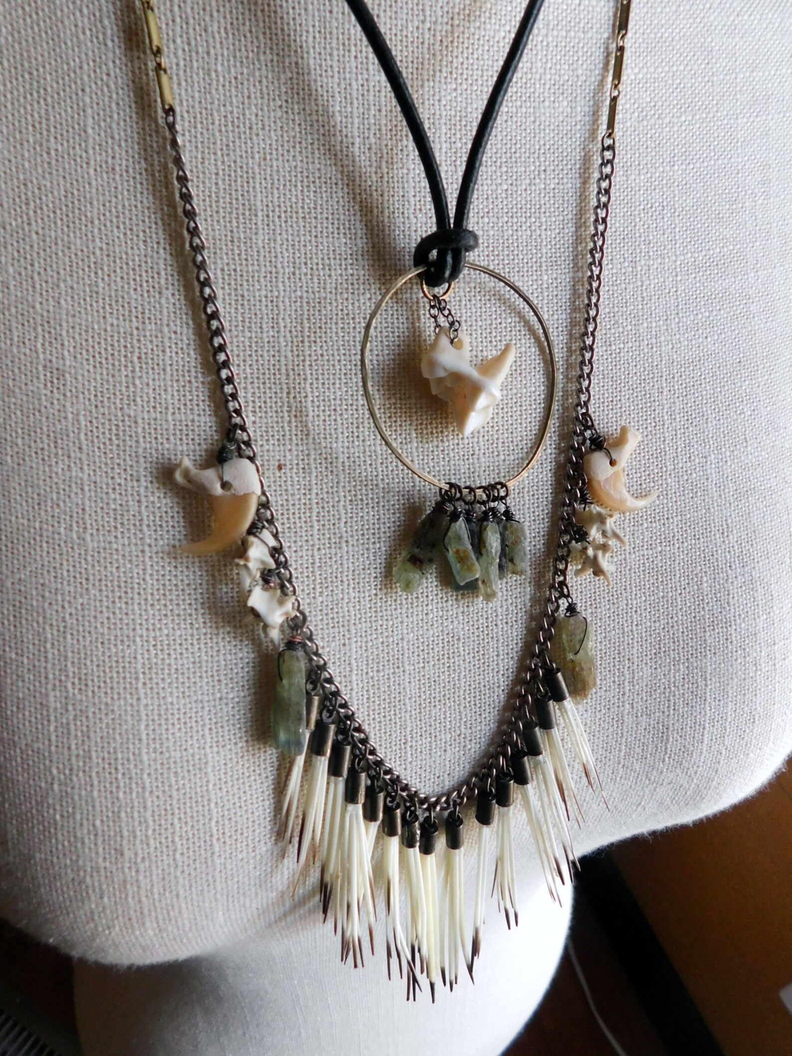 The Shapeshifter of Fairborn Mire. Porcupine Quill Fringe, Snake Bone ...