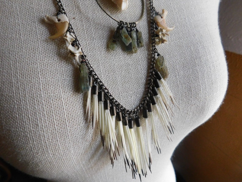 The Shapeshifter of Fairborn Mire. Porcupine Quill Fringe, Snake Bone ...