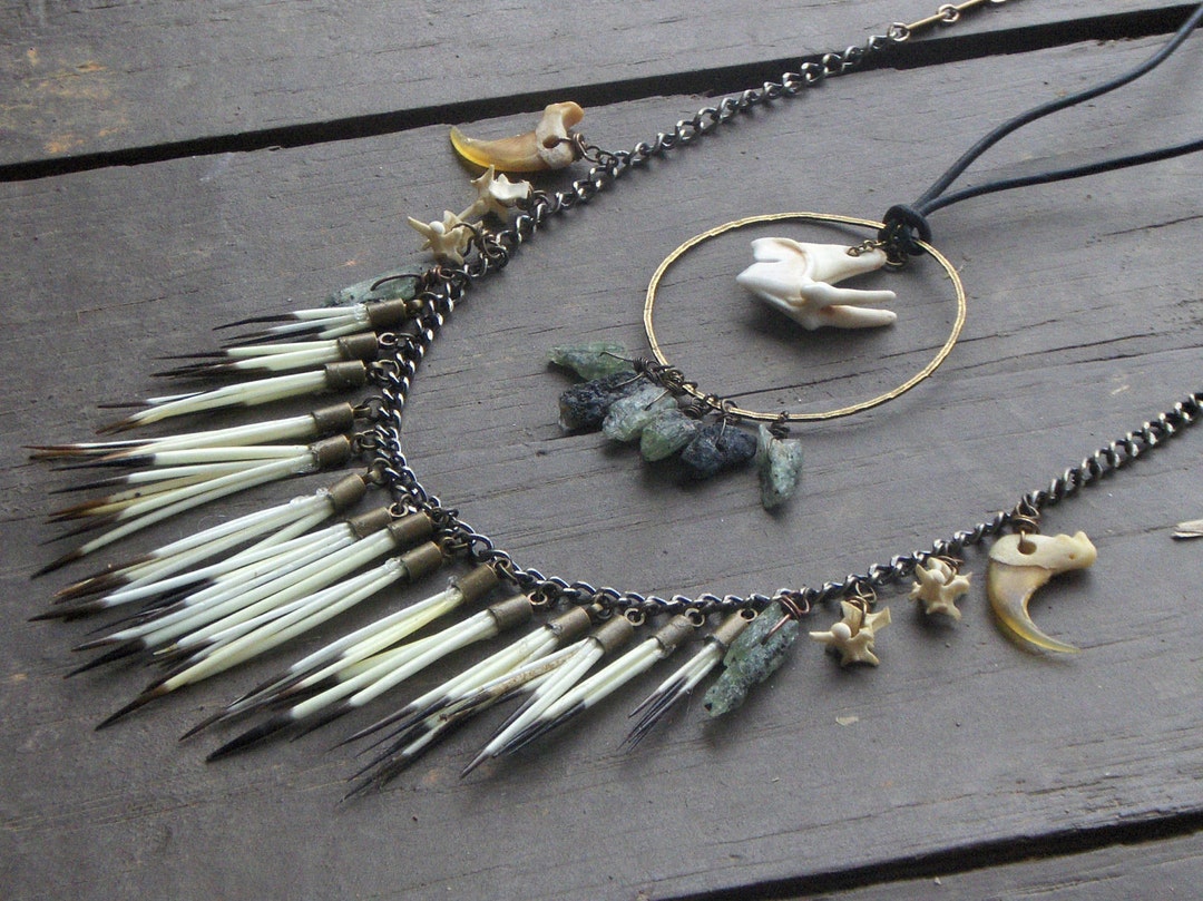 The Shapeshifter of Fairborn Mire. Porcupine Quill Fringe, Snake Bone ...