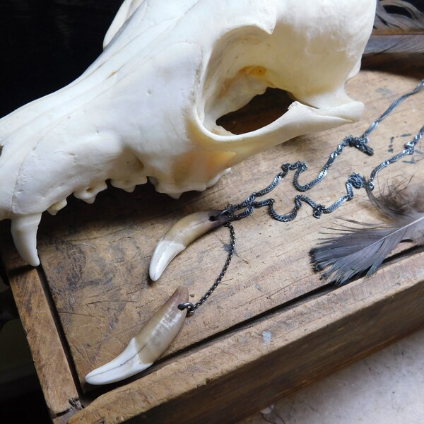 Werewolf Fangs - Etsy