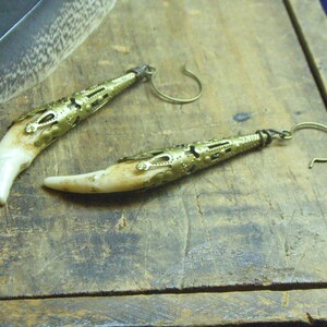 Crave. Genuine Coyote Teeth Fangs in Brass Victorian Filigree Caps. # ...