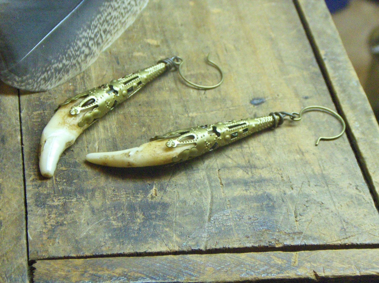 Crave. Genuine Coyote Teeth Fangs in Brass Victorian Filigree | Etsy
