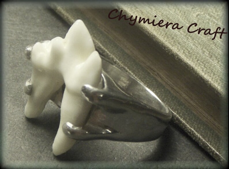 Lycanthrope Ring. Genuine Coyote Molar Tooth Set in Sterling Silver 4 ...