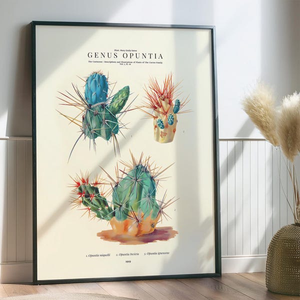Cactus Poster - Etsy