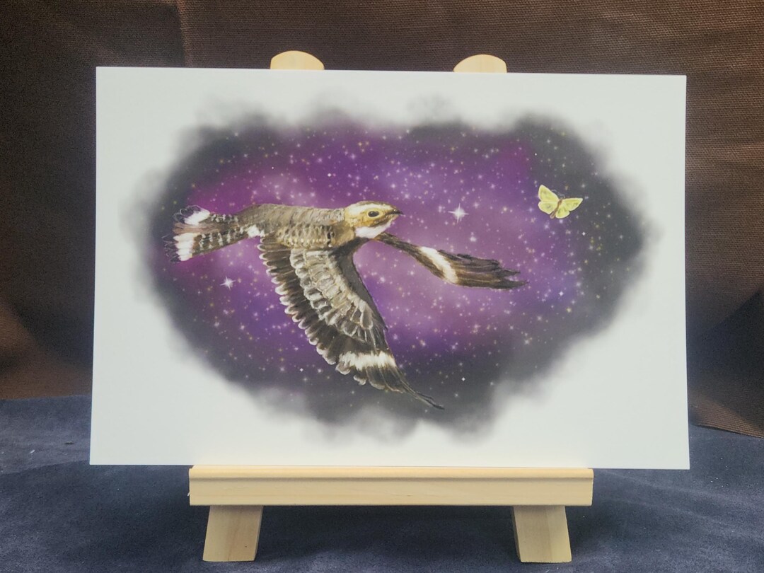 Common Nighthawk Bird Oil Painting Style Giclee Fine Art Print 6x9 ...