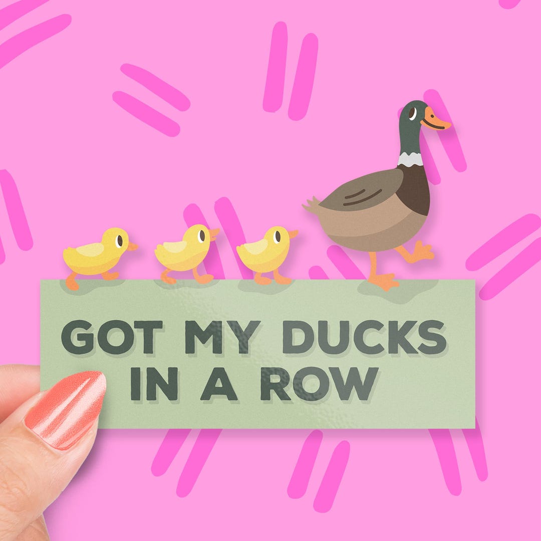 Got My Ducks in a Row Sticker, Funny Duck and Family Sticker, Relatable ...