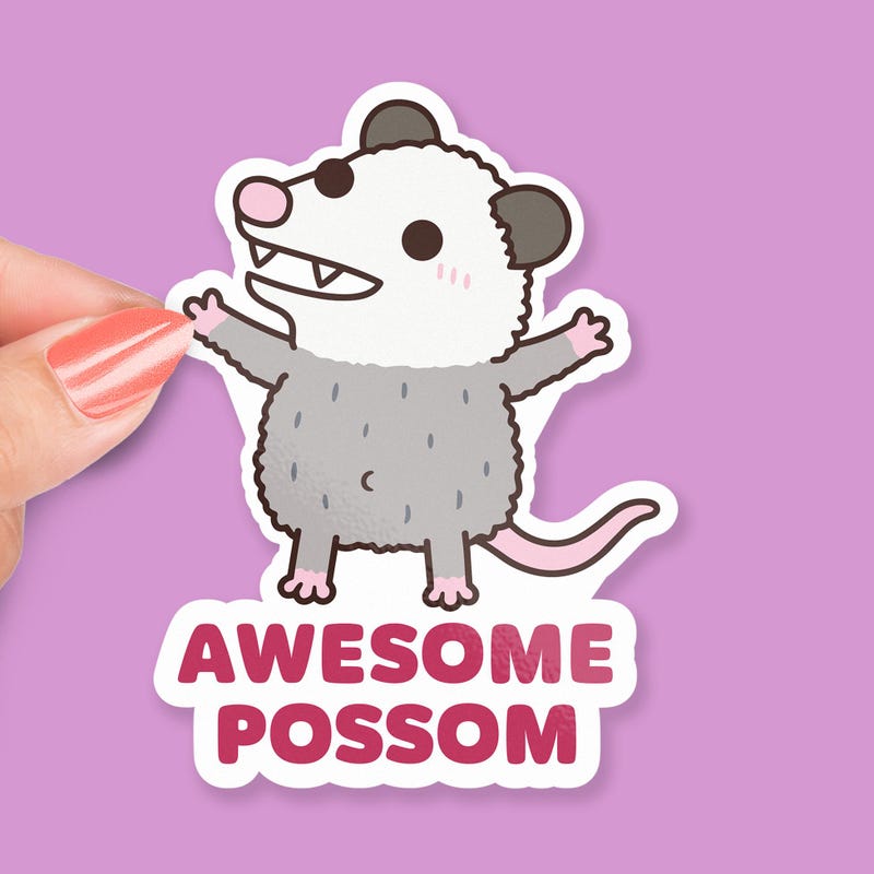 Awesome Possum - Etsy