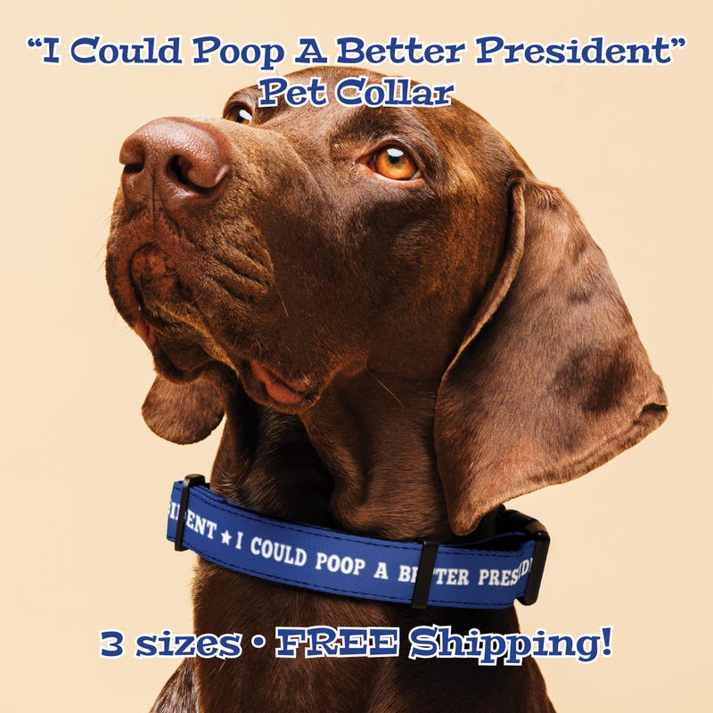 Dog Collar Anti Trump - Etsy