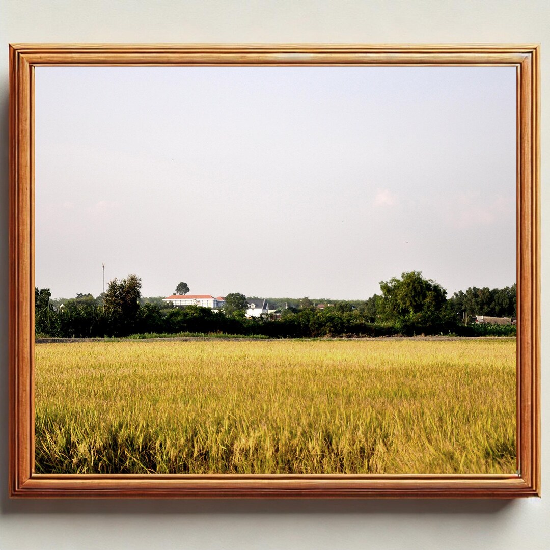 Golden Harvest - Rice Field Painting for Living Room and Kitchen - Etsy